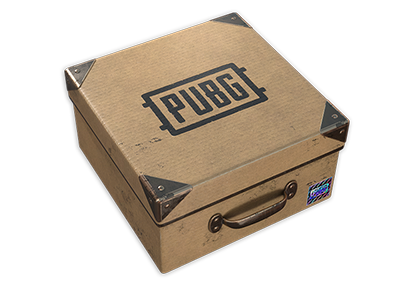 PUBG Redeem Codes June 2024: Free LUCKY DRAW BOX - gearupbooster.com